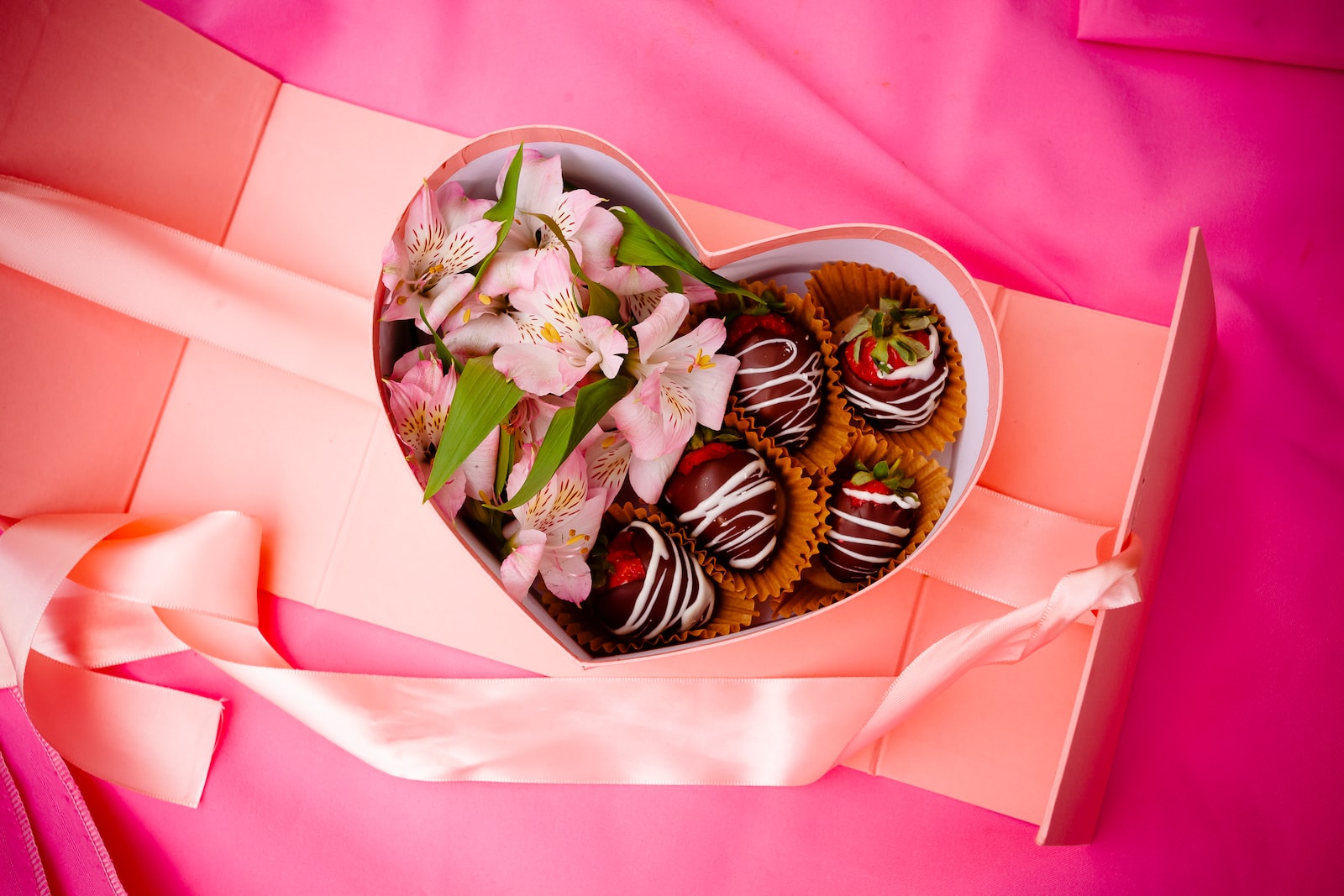unconditional-love-keeping-your-pet-happy-and-healthy-with-valentine-s